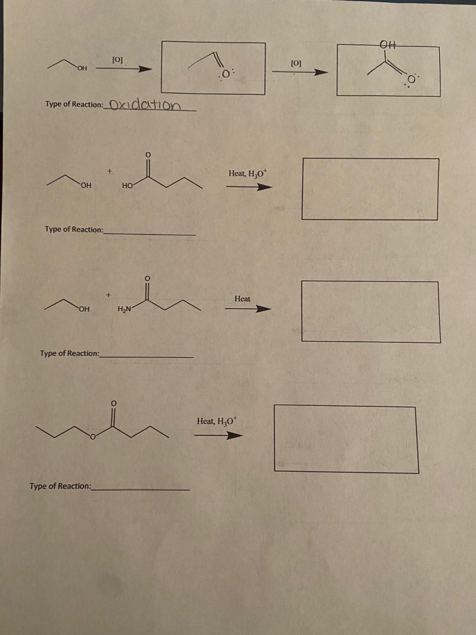 Solved OH [0] [O] ОН Type of Reaction: Oxidation Heat, H20 | Chegg.com