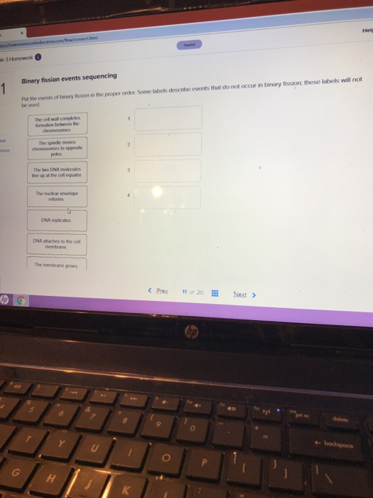 Solved e3 Homework Put the evonts of bnvary fission in the | Chegg.com