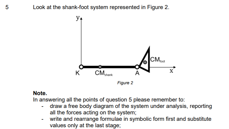 Solved 5 Look at the shank-foot system represented in Figure | Chegg.com