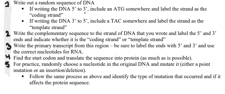 Solved Write out a random sequence of DNA If writing the | Chegg.com