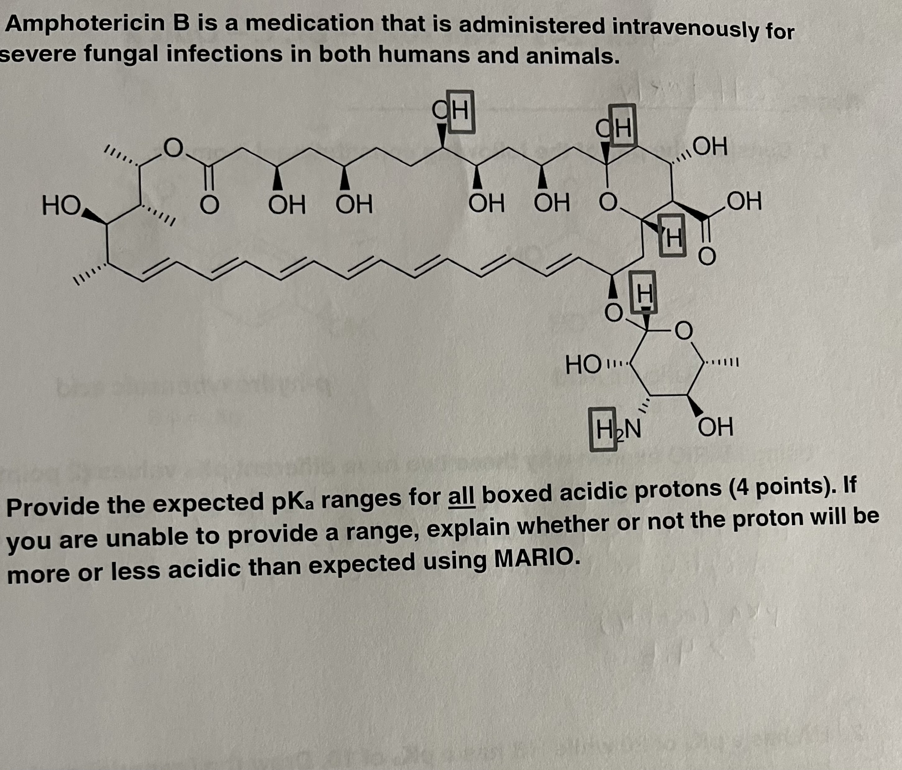 Amphotericin B is a medication that is administered | Chegg.com