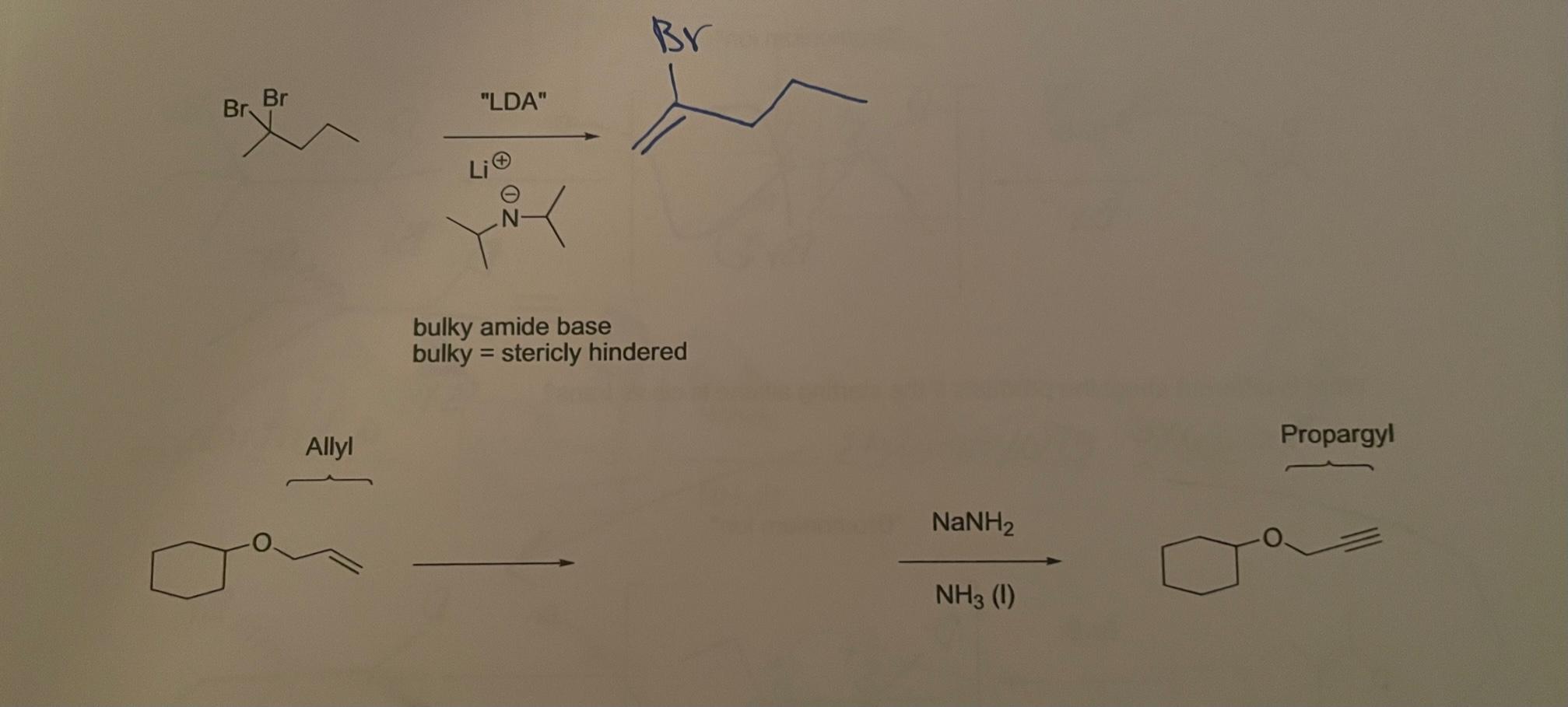 Solved bulky amide base bulky = stericly hindered Allyl | Chegg.com