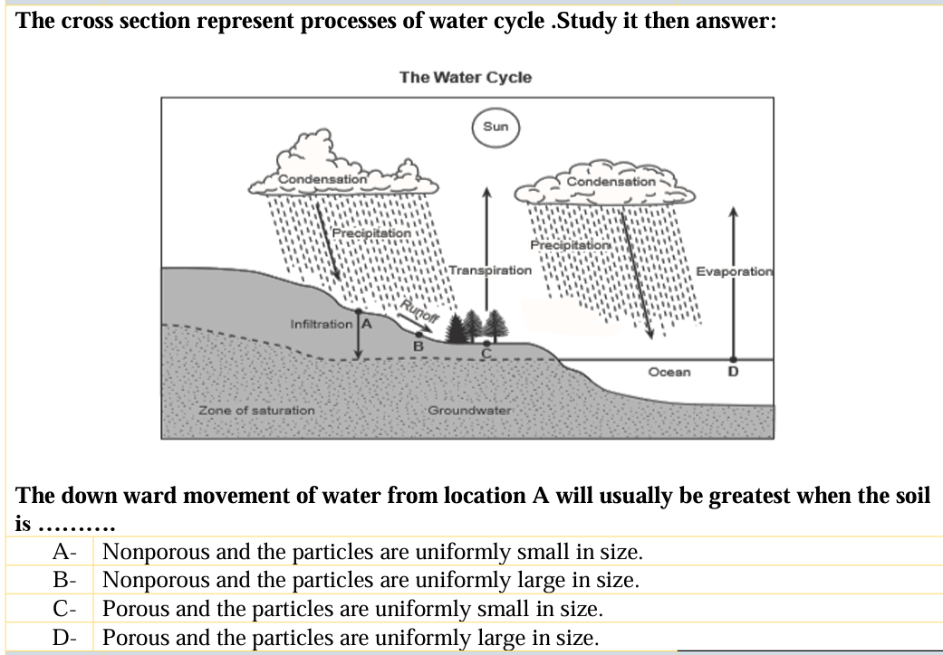 Solved The cross section represent processes of water cycle. | Chegg.com