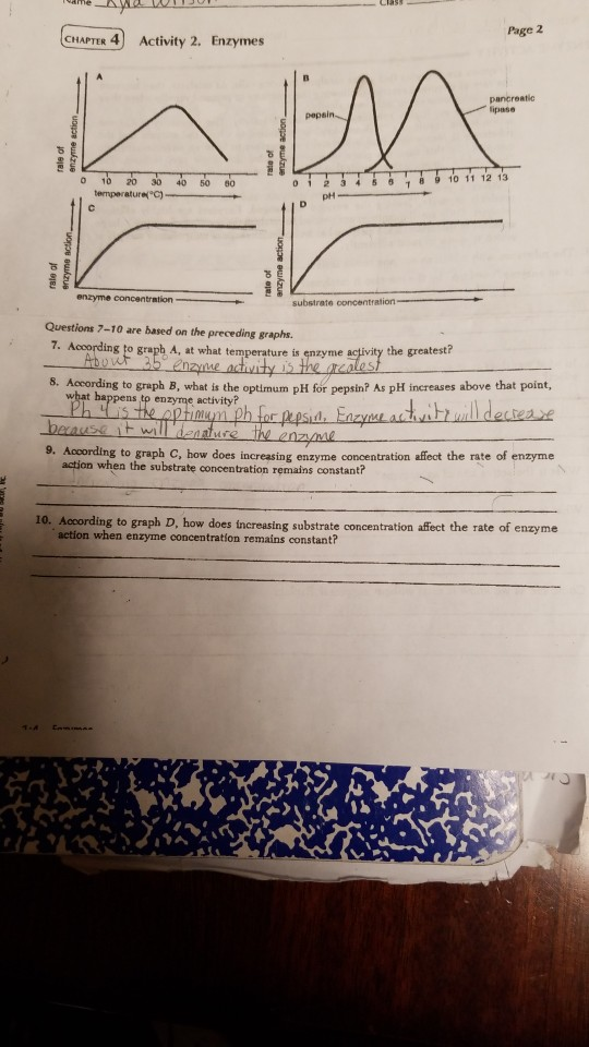 Solved Page 2 CHAPTER 4 Activity 2. Enzymes lipase 0 10 20 | Chegg.com