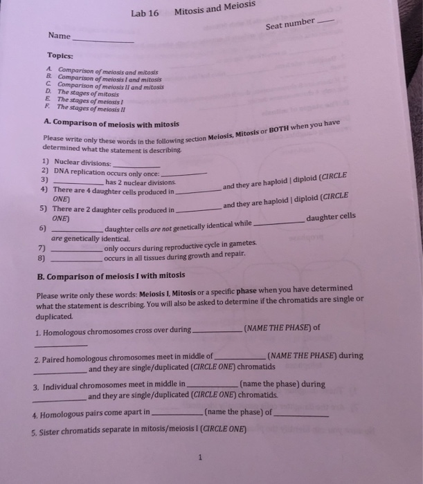 Solved Lab 16 Mitosis and Meiosis Seat number_ Name Topics: | Chegg.com