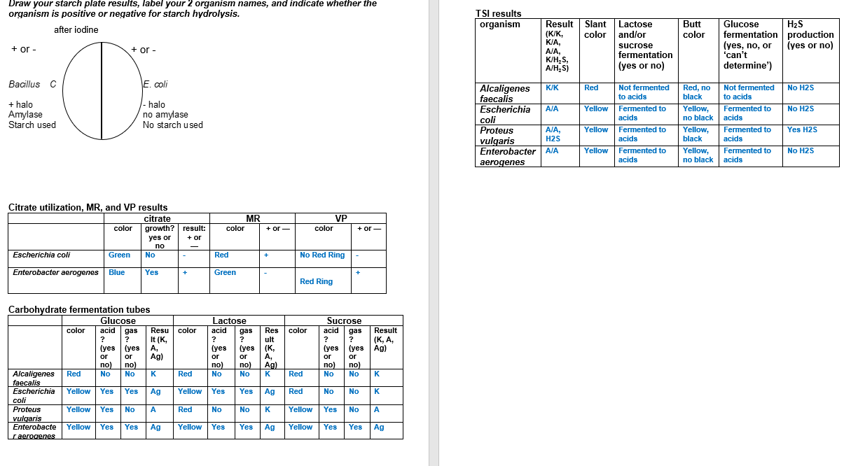 Solved 1. Did the TSI result for Escherichia coli agree with | Chegg.com