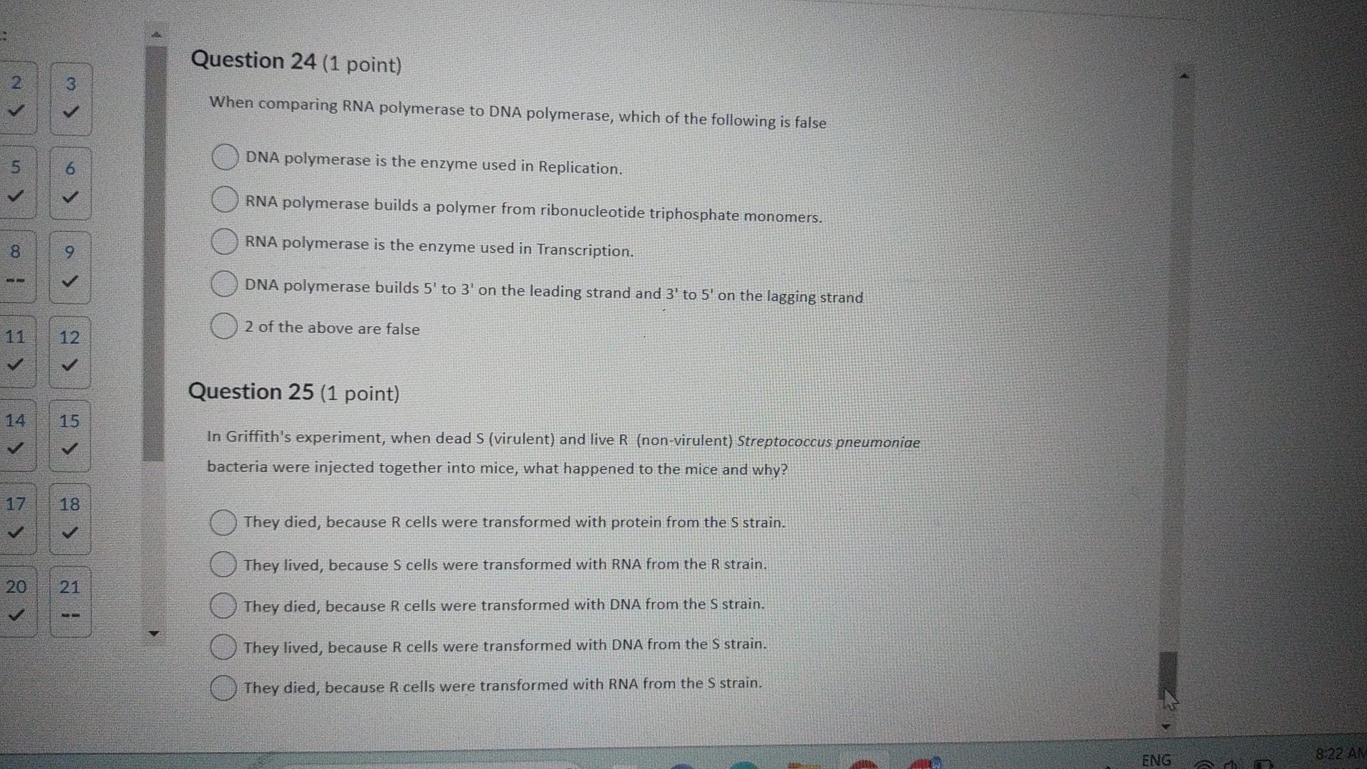 Question 24 (1 ﻿point)When comparing RNA polymerase | Chegg.com