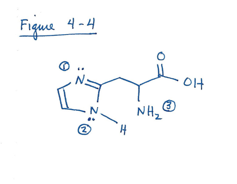 Solved The amino acid histidine is shown in Figure 4-4. | Chegg.com