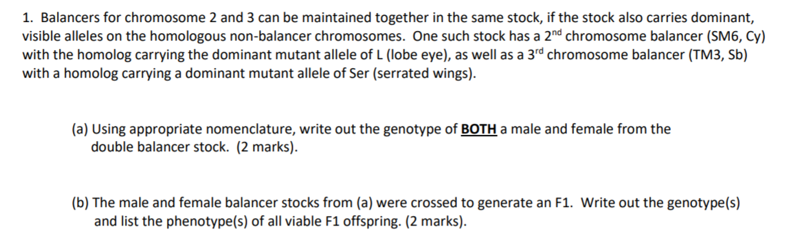 1. Balancers for chromosome 2 and 3 can be maintained | Chegg.com
