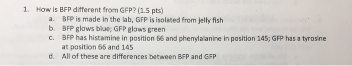 Solved 1. How is BFP different from GFP? (1.5 pts) a. b. c. | Chegg.com