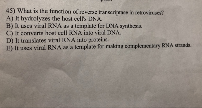 Solved 45) What is the function of reverse transcriptase in | Chegg.com