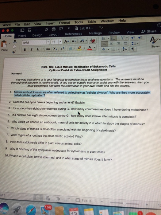 Solved Word File Edit View Insert Format Tools TableWindow | Chegg.com