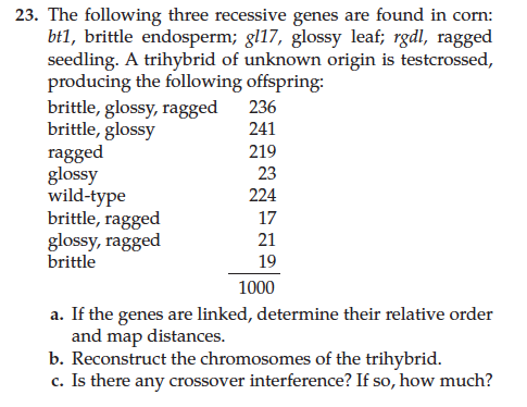 Solved 23. The following three recessive genes are found in | Chegg.com