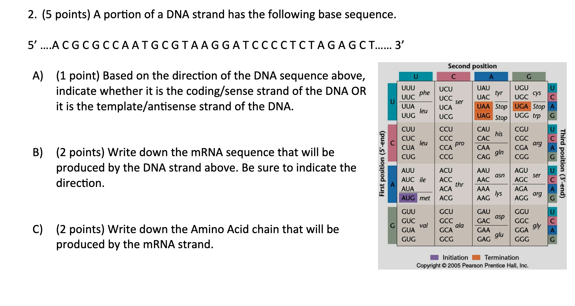 Solved 2. (5 points) A portion of a DNA strand has the | Chegg.com