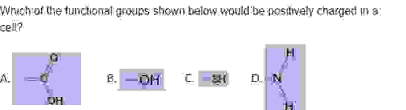 Solved Which of the functional groups shown below would be | Chegg.com