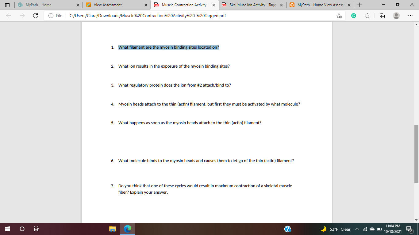 Solved MyPath - Home X View Assessment х PD Muscle | Chegg.com