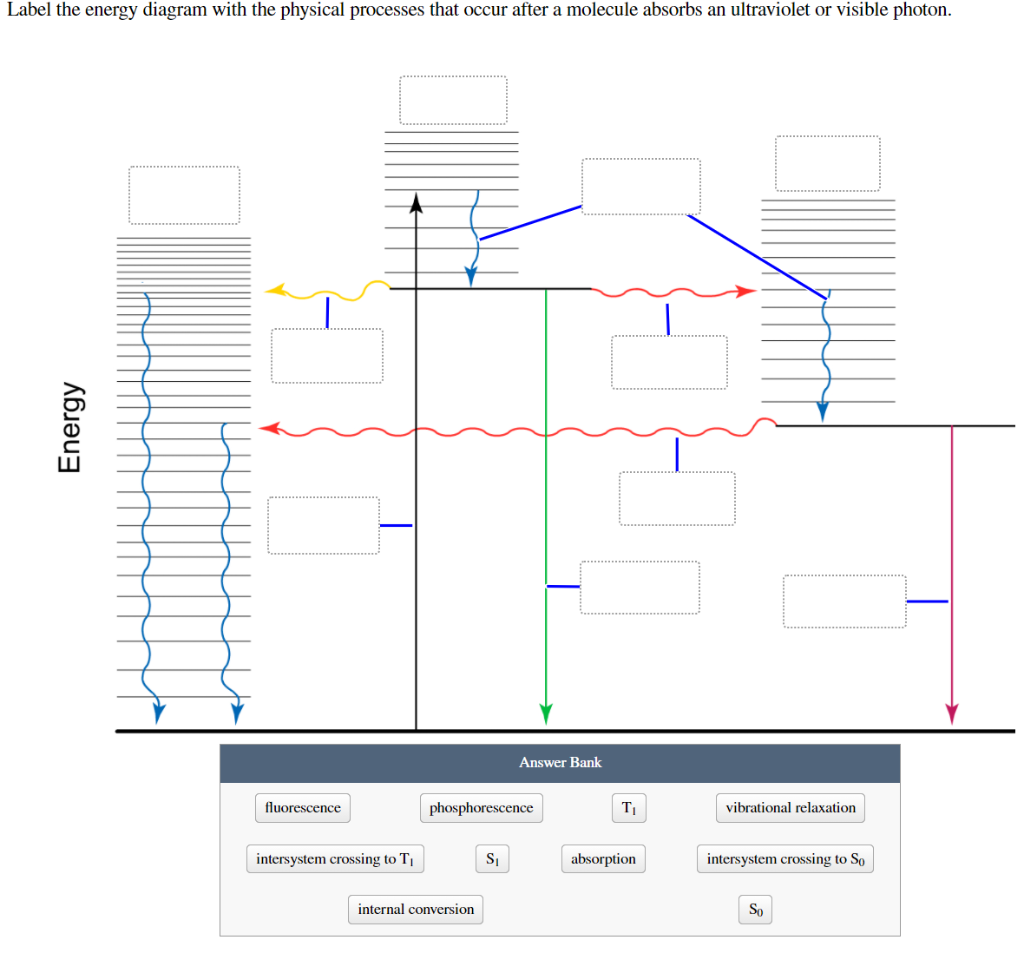 Solved Label the energy diagram with the physical processes | Chegg.com