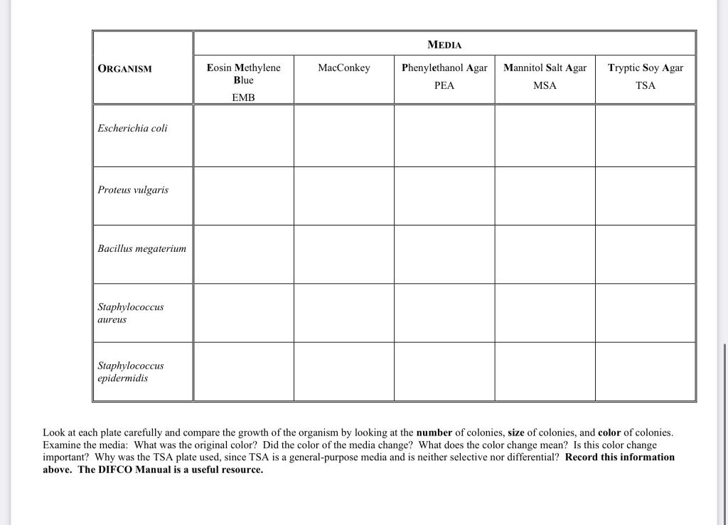 Selective Media- Results In session 11, you were | Chegg.com