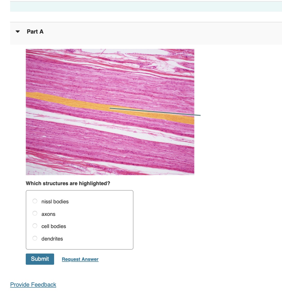 Question | Chegg.com