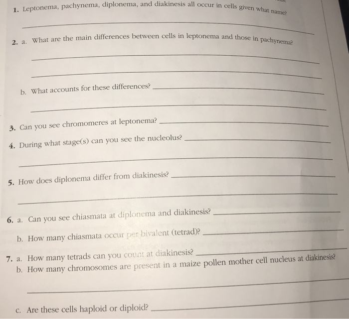 Solved 1. Igptonems, pachynema, diplonema, and iakiness al | Chegg.com