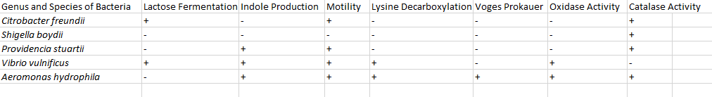 Read the table provided and create a dichotomous key | Chegg.com