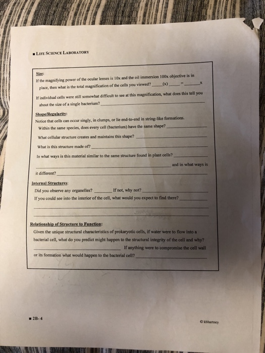 Solved BACTERIA LABORATORY 2B EXERCISE 1: OBSERVING BACTERIA | Chegg.com