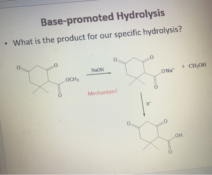 Solved Base-promoted Hydrolysis What is the product for our | Chegg.com