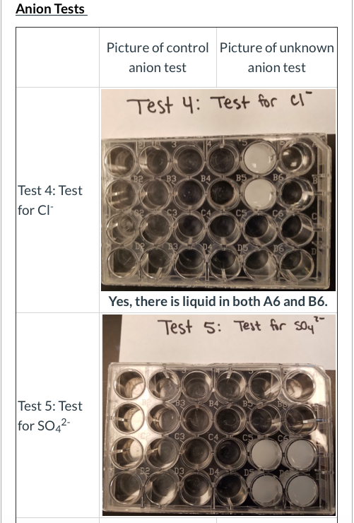 Solved Anion Tests Picture of control Picture of unknown | Chegg.com