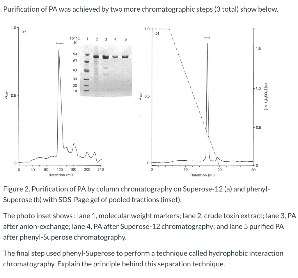 Purification of PA was achieved by two more | Chegg.com