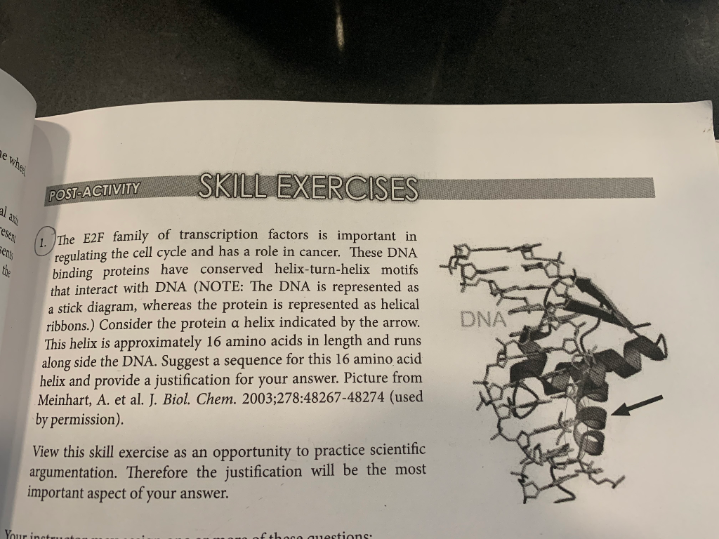 Solved The E2F family of transcription factors is important | Chegg.com