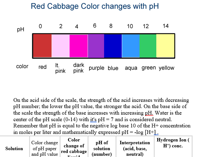 Solved Red Cabbage Color changes with pH On the acid side of | Chegg.com