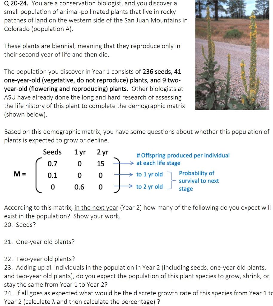 Solved Q 20-24. You are a conservation biologist, and you | Chegg.com