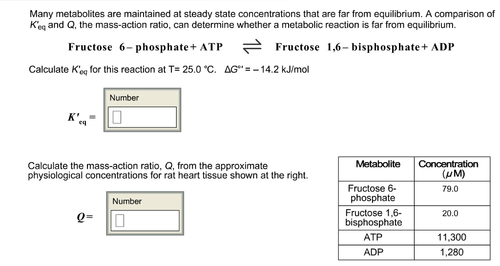 Solved Many metabolites are maintained at steady state | Chegg.com