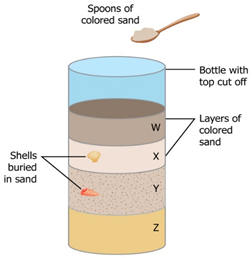 Solved A student develops a model of a sedimentary rock | Chegg.com