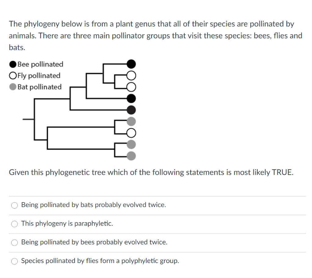 Solved The phylogeny below is from a plant genus that all of | Chegg.com