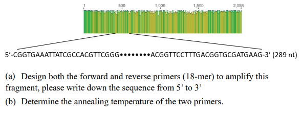 Solved Question | Chegg.com