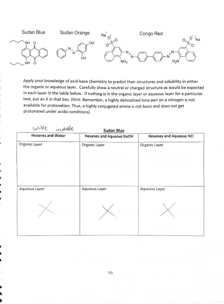 Solved Ē Sudan Blue NH O NH O Organic Layer Sudan Orange | Chegg.com