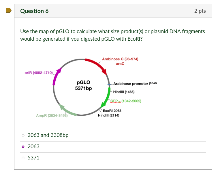 Solved Question 6 2 pts Use the map of PGLO to calculate | Chegg.com