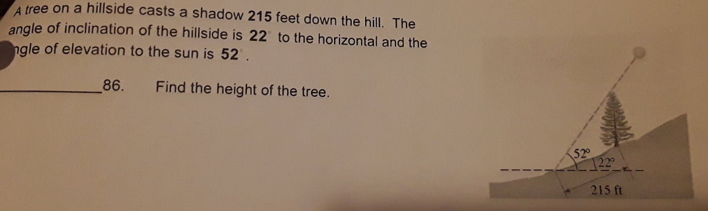 Solved tree on a hillside casts a shadow 215 feet down the | Chegg.com