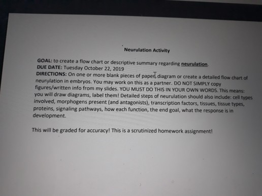 Neurulation Activity GOAL: to create a flow chart or | Chegg.com