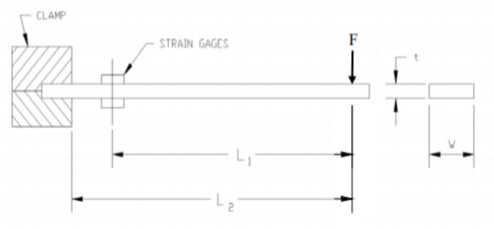 Design your strain-gauge sensor for measuring lateral | Chegg.com