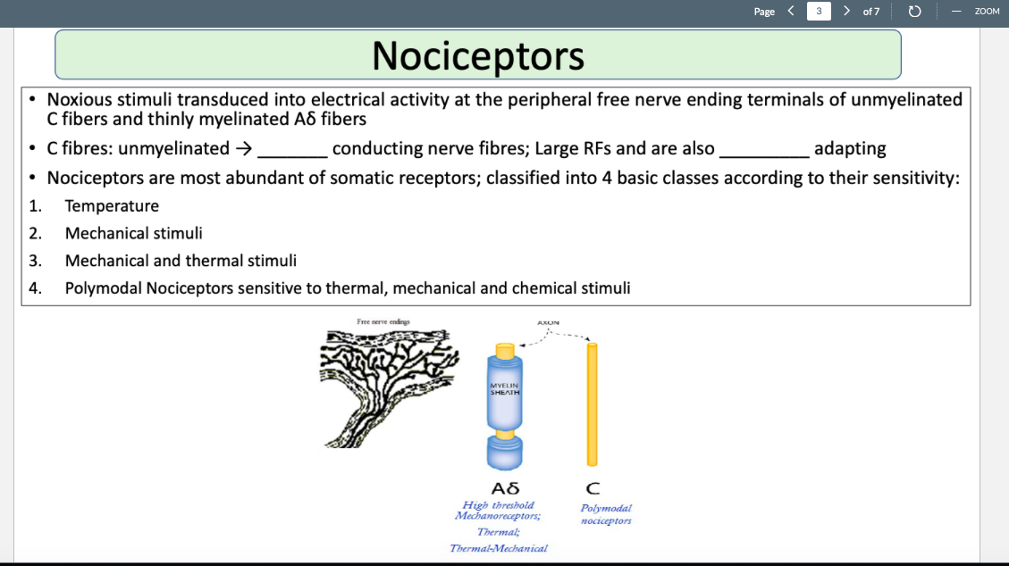 Solved - Noxious stimuli transduced into electrical activity | Chegg.com