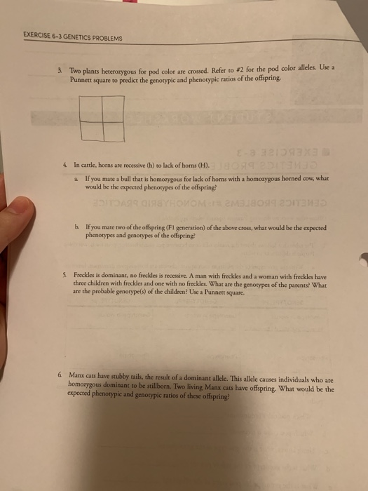 Solved Name Lab Partner Date STUDENT WORKSHEET EXERCISE 6-3 | Chegg.com