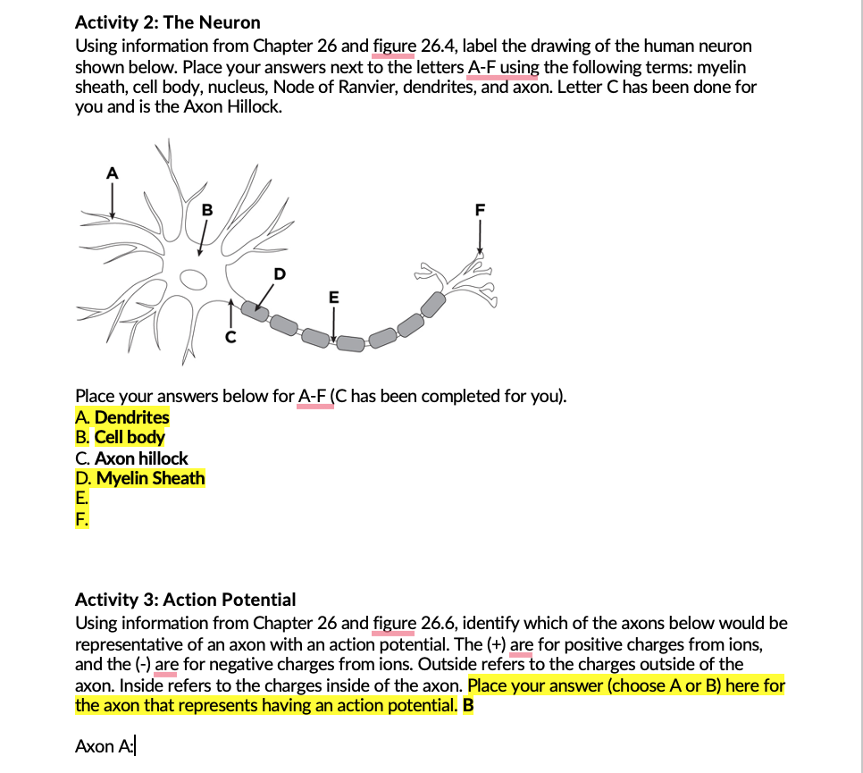 Solved Activity 2: The Neuron Using information from Chapter | Chegg.com Solved Activity 2: The Neuron Using information from Chapter | Chegg.com