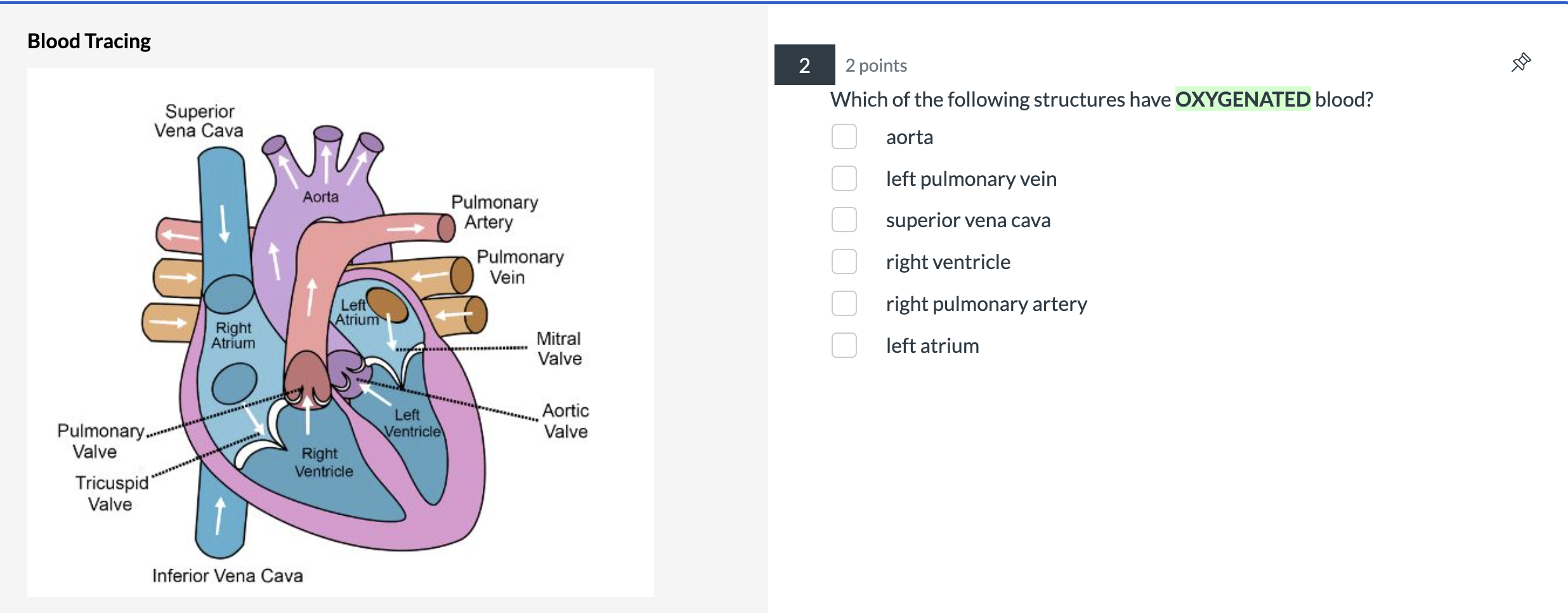 Solved Blood Tracing Blood Tracing 2 2 points Which of the | Chegg.com