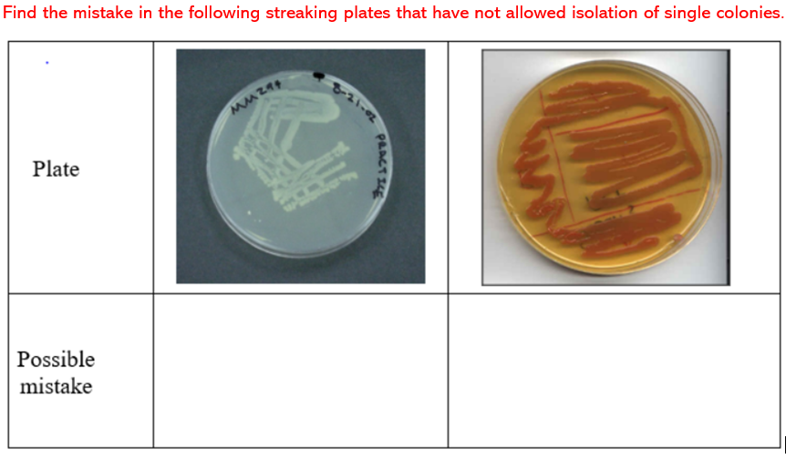 Solved Find the mistake in the following streaking plates | Chegg.com