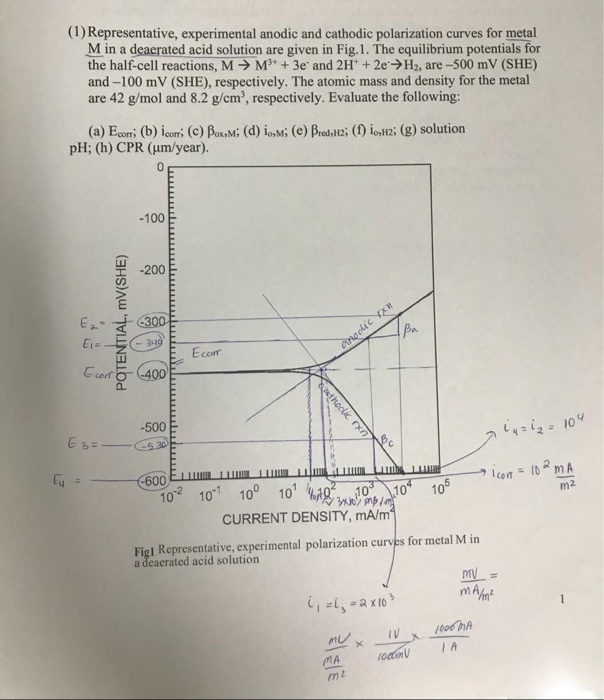 (1) Representative, experimental anodic and cathodic | Chegg.com