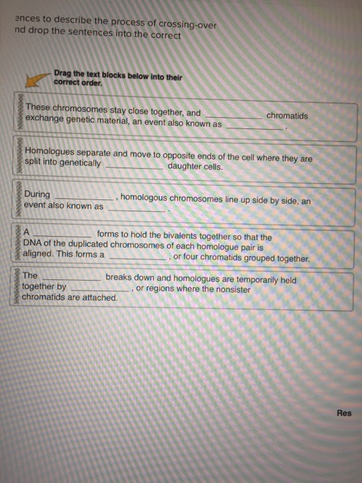 Solved work Saved Help Save &Exit Submit Complete the | Chegg.com Solved work Saved Help Save &Exit Submit Complete the | Chegg.com