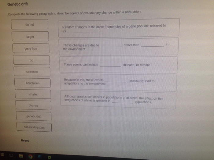 Solved Genetic drift Complete the following paragraph to | Chegg.com