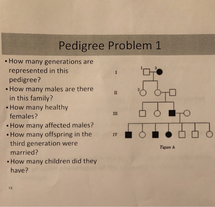 Solved Pedigree Problem 1 How many generations are | Chegg.com